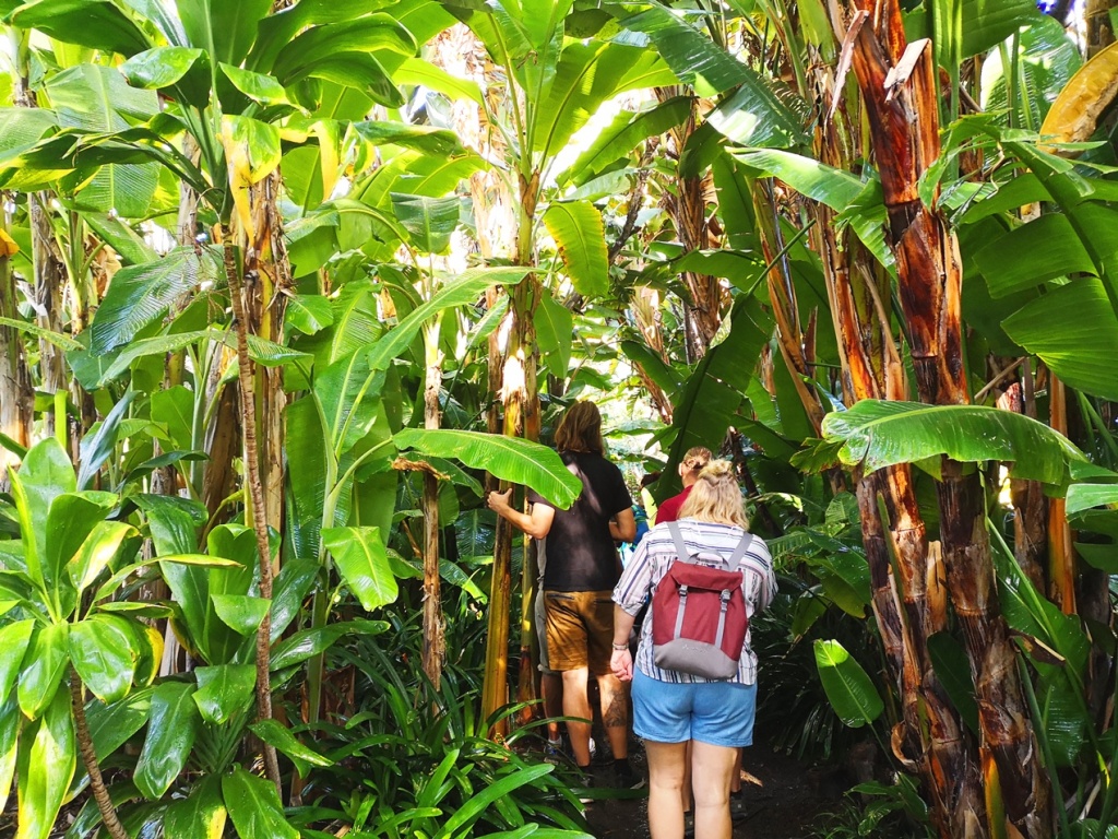 Outdoor and nature-based education and experiential learning – ERASMUS+ ...